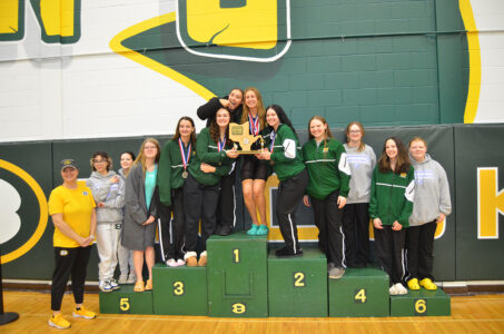 Brooke Girls Win OVAC Swimming Crown; Wheeling Park Boys Finish Second ...